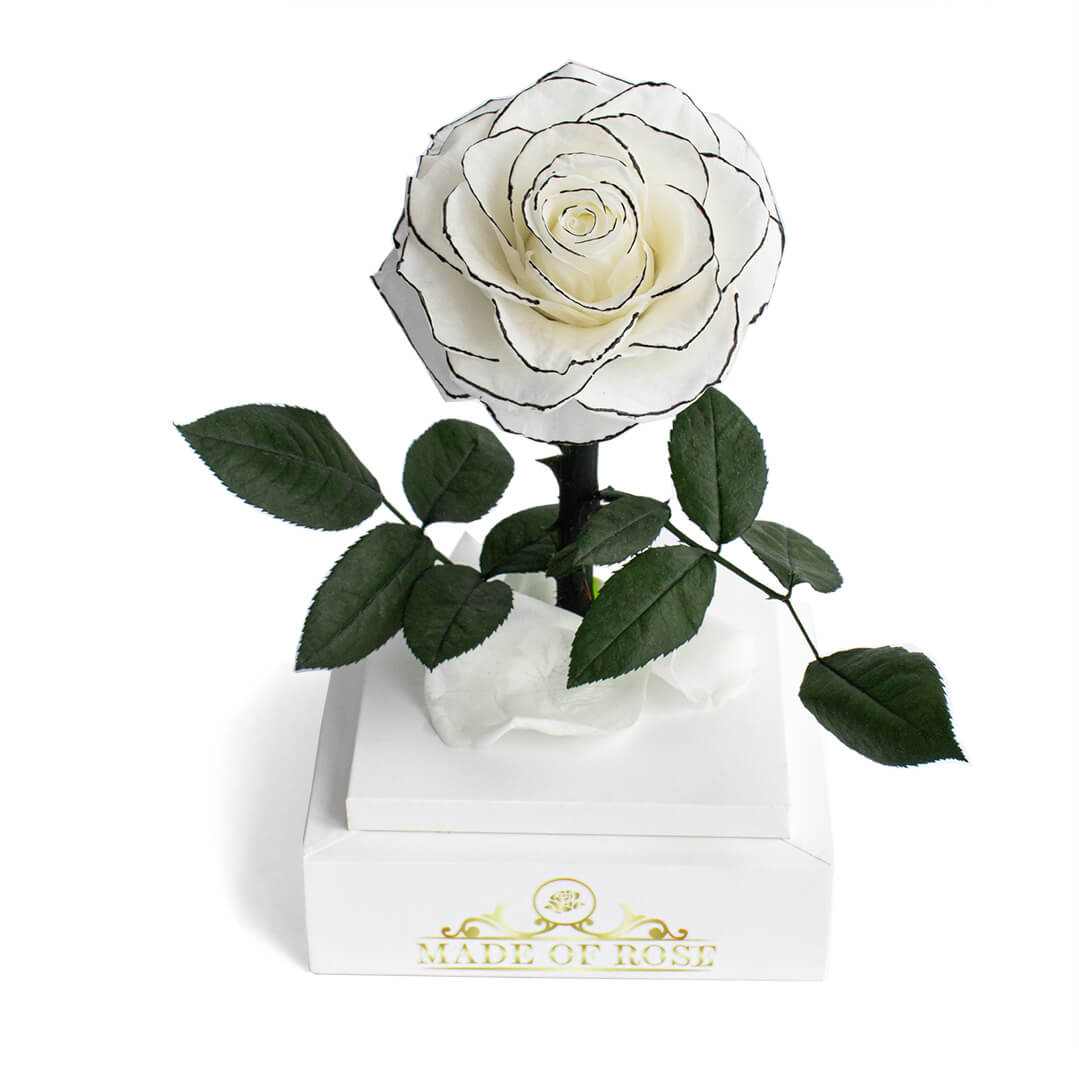 Madeofrose Exclusive Preserved Rose + Gift Box - Madeofrose